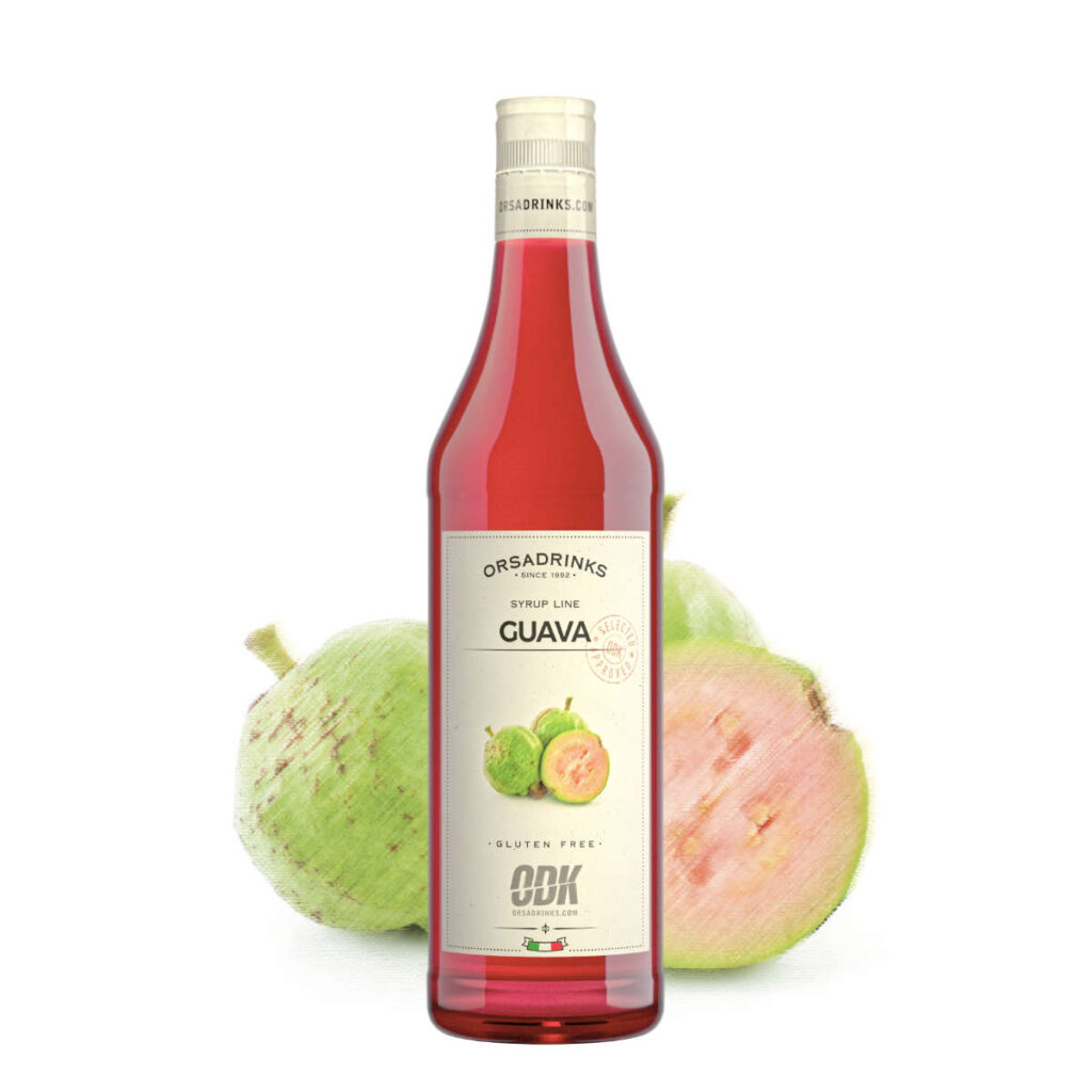 SYRUP GUAYABA (GUAVA) 750ML VIDRIO. ODK – Dach